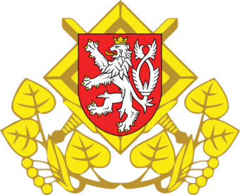 Event Profile | BVV EN