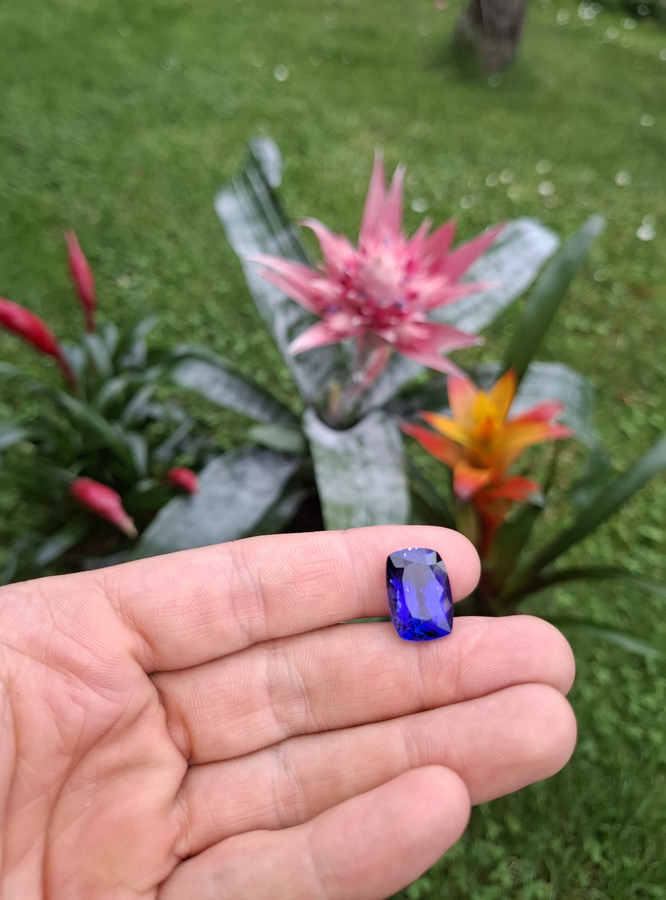 Drahé kameny pro sběratele, šperkaře a investory | BVV CZ